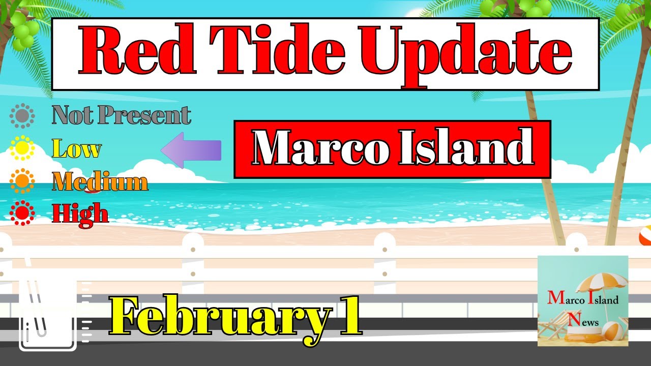 Red Tide Update February 1st Marco Island News - YouTube