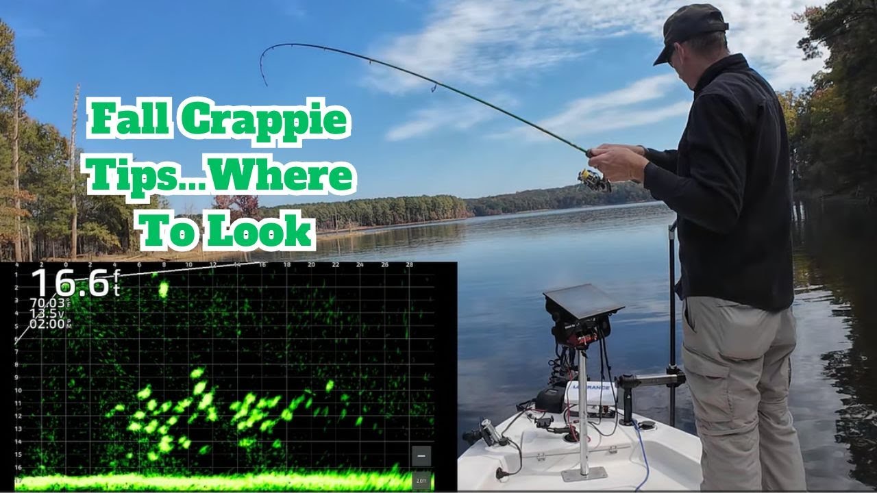 Fall Crappie Fishing, tips, where to look w/ Livescope footage - YouTube