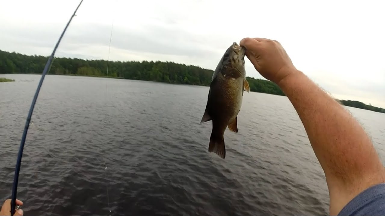 musky fishing? night 2 - YouTube