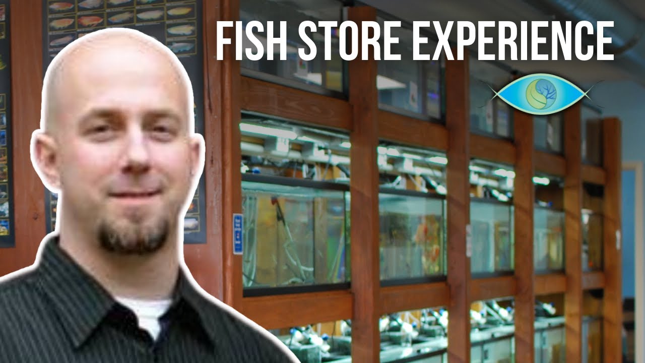 Worst Fish Store Experience - KG Tropicals - YouTube