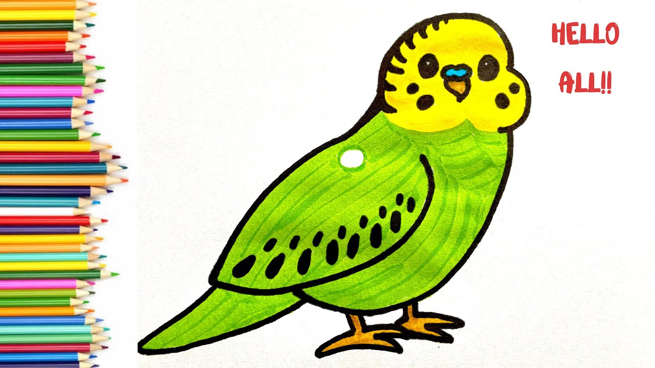 How to draw BUDGIE 🦜 Easy drawing little parrot step by step #art # ...
