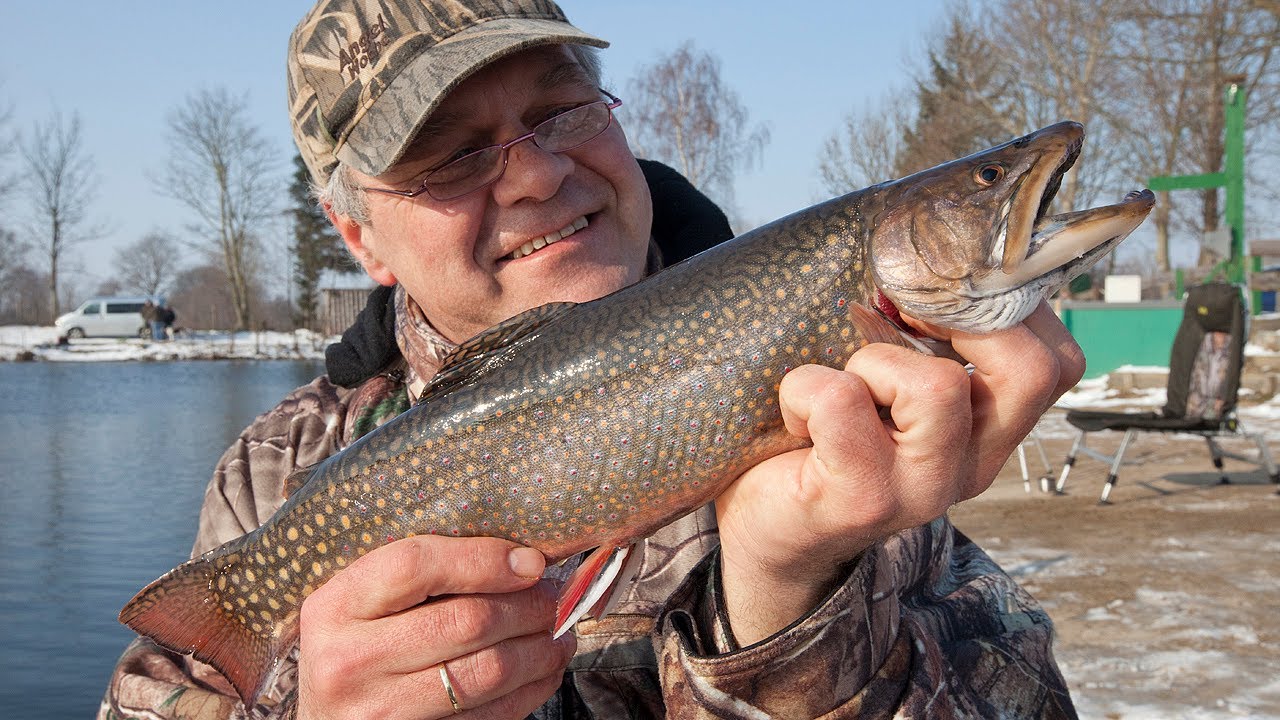 Angeln am Forellensee | Richtig angeln mit dem Bodentaster - YouTube