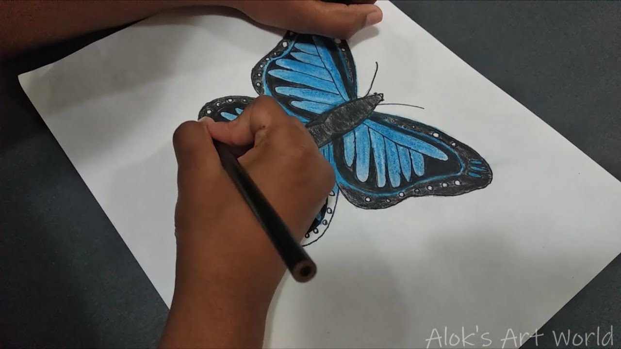 Drawing a Blue Morpho Butterfly...!!!||Alok's Art World|| - YouTube