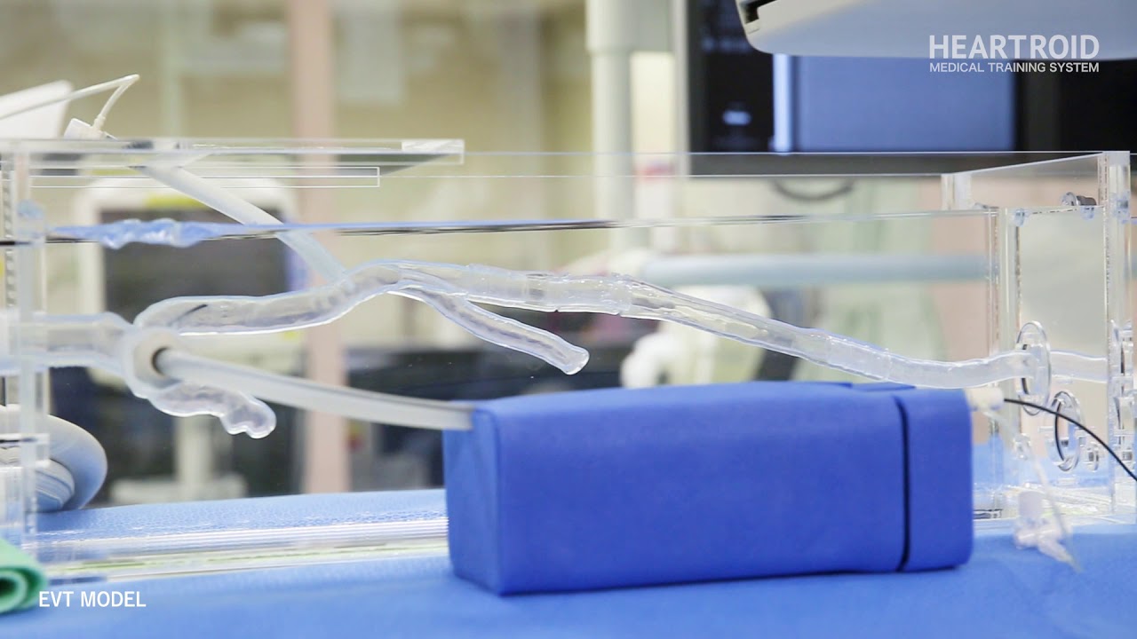 EVT Model - HEARTROID Project - YouTube