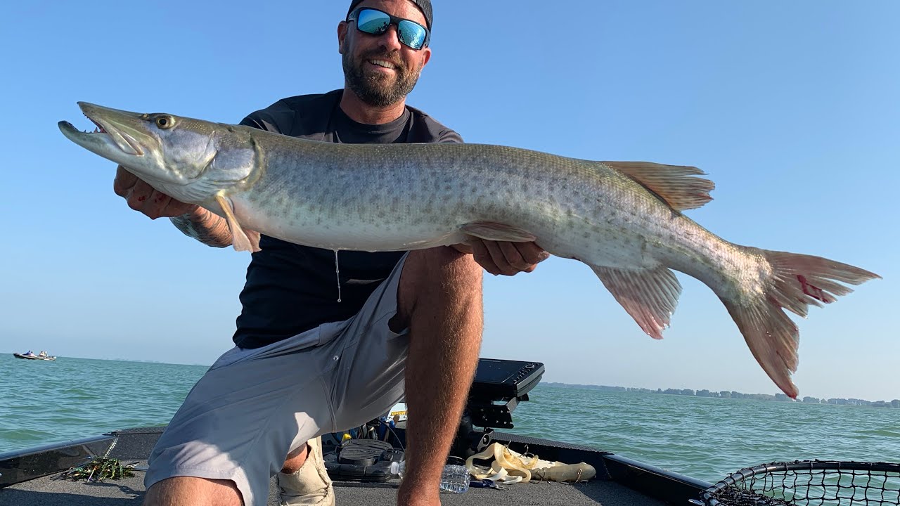 MUSKIE FISHING AUG. 23, 2020 LAKE ST. CLAIR - YouTube