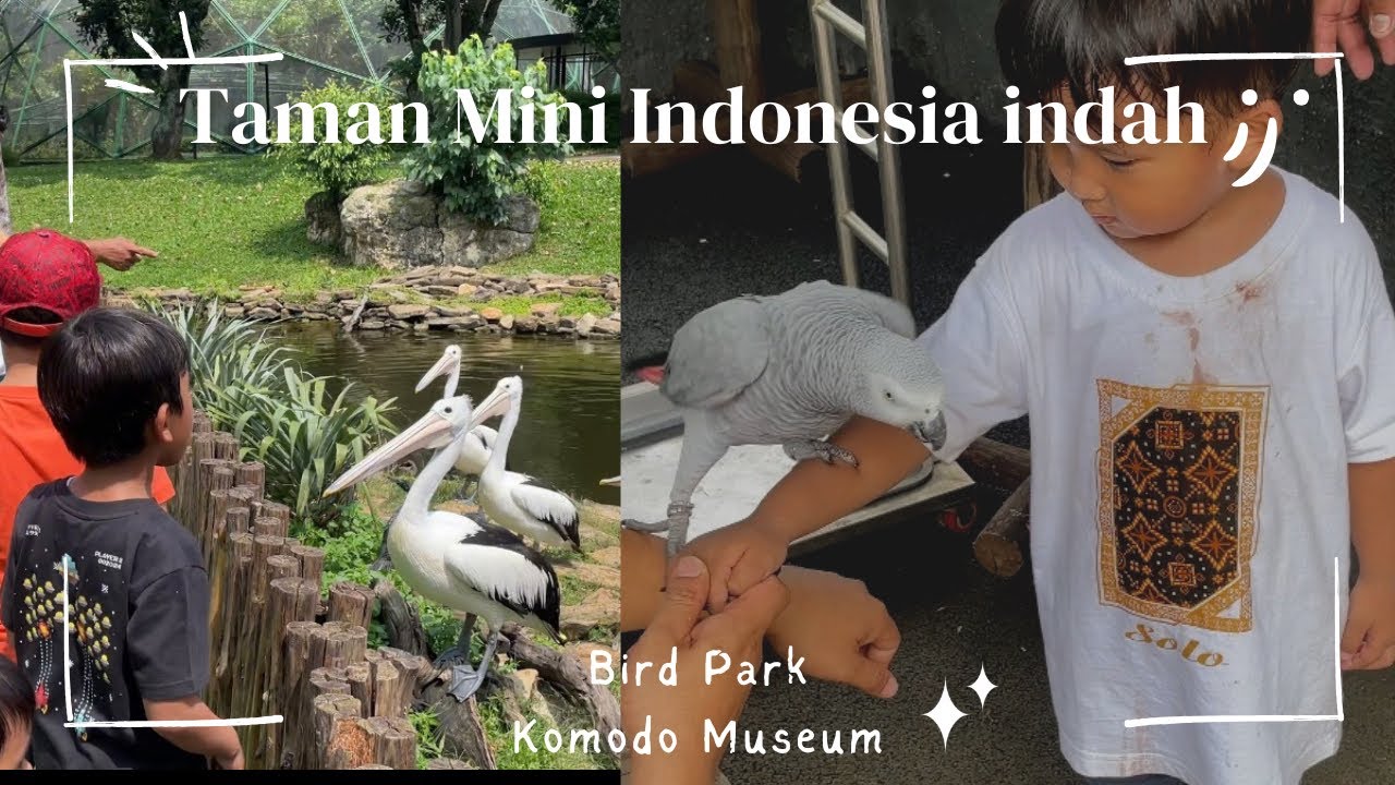 One day at TMII | Kids explore Bird Park 🐦, komodo museum, reptiles ...