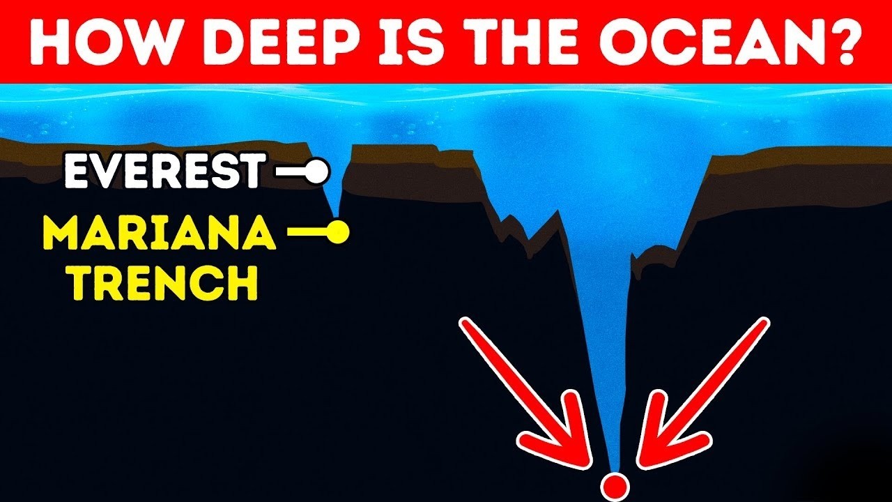 How Deep Is The Ocean? Incredible Ocean Depth - YouTube