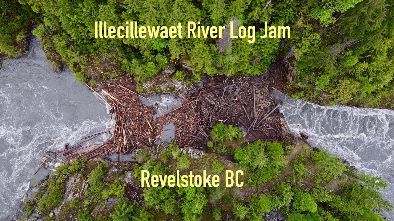 Illecillewaet River Log Jam - YouTube