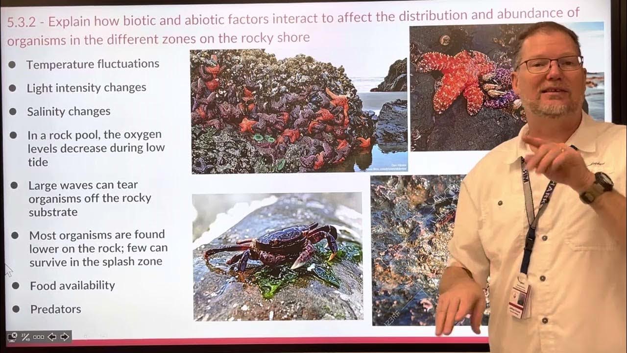 AICE Marine, Unit 5 - Part 2 - YouTube