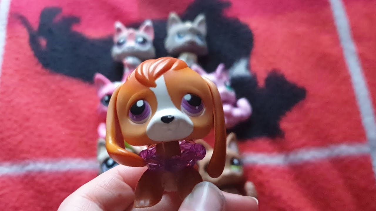 Completing my Lps Wolf Cat Collection (Lps Haul 12) - YouTube