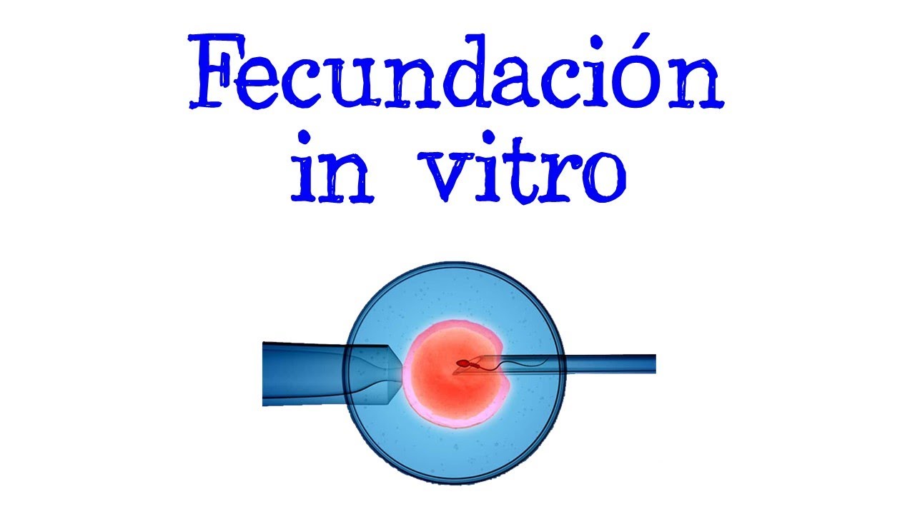 💥 ¿Qué es la Fecundación In Vitro? 💥 [Fácil y Rápido] | BIOLOGÍA ...