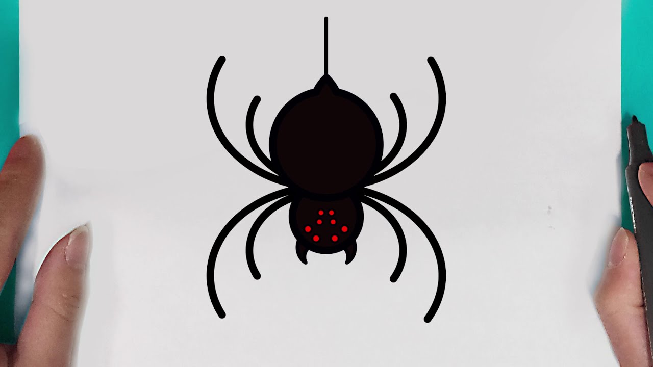 How to draw Halloween black spider easy for beginners drawing Halloween ...