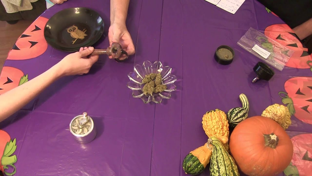 Lavender Jones Strain Review (Casey Jones x Purple Urkle) - YouTube