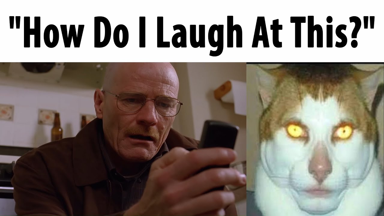 "How Do I Laugh?" - YouTube