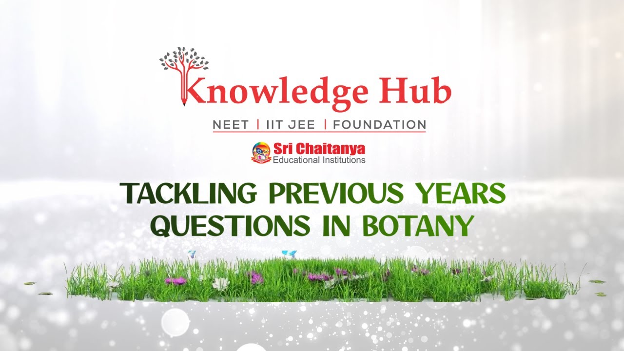 Past Papers Primer | Morphology in Botany | NEET | Knowledge Hub by Sri ...