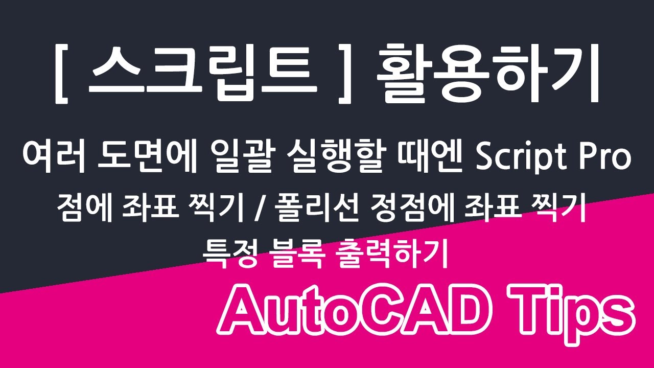 스크립트를 여러 도면에, 한 번에 사용하고 싶다면 - Script Pro - YouTube
