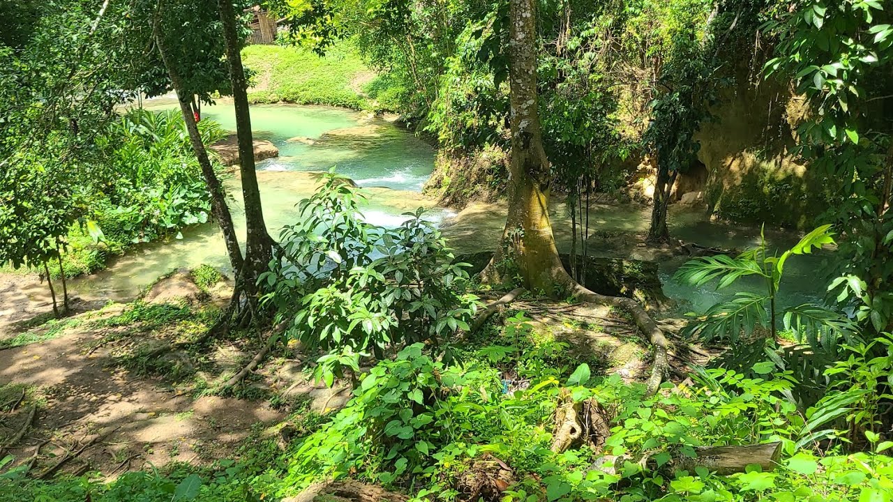 Private Tour Through Jamaican Countryside to Benta River Falls from ...