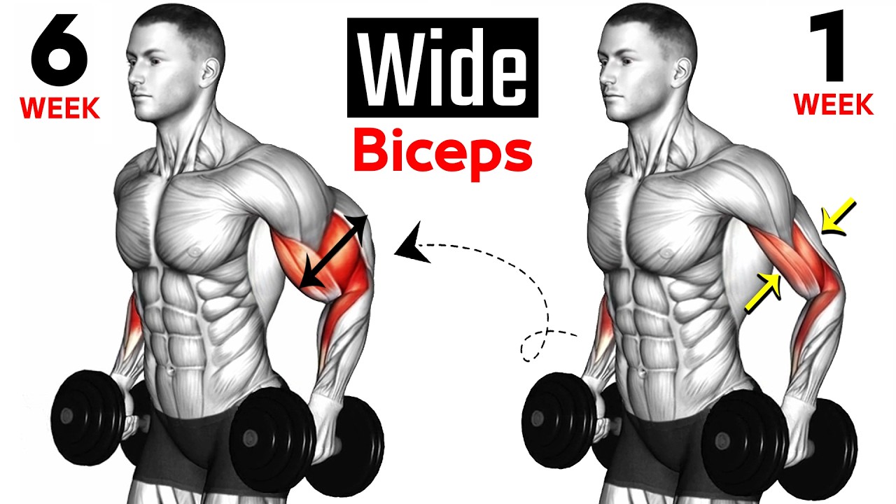 7 BEST Exercises for WIDER BICEPS - YouTube