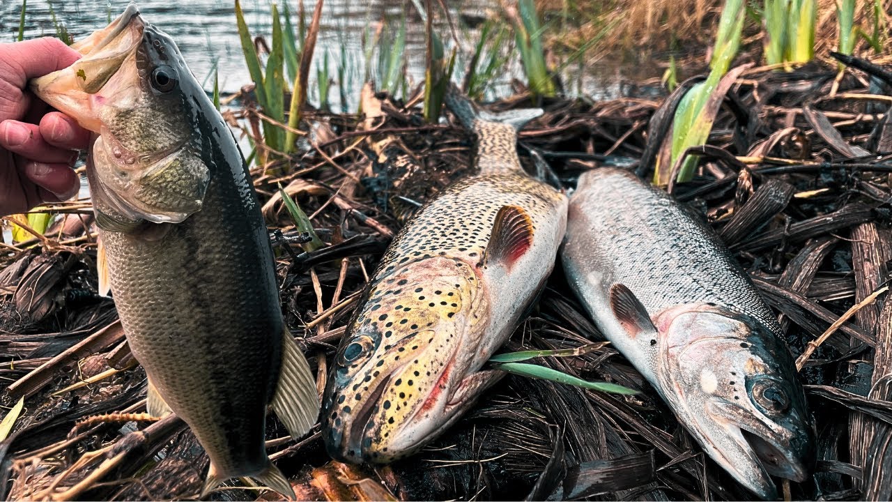 Spring Trout Fishing in Washington State.. - YouTube
