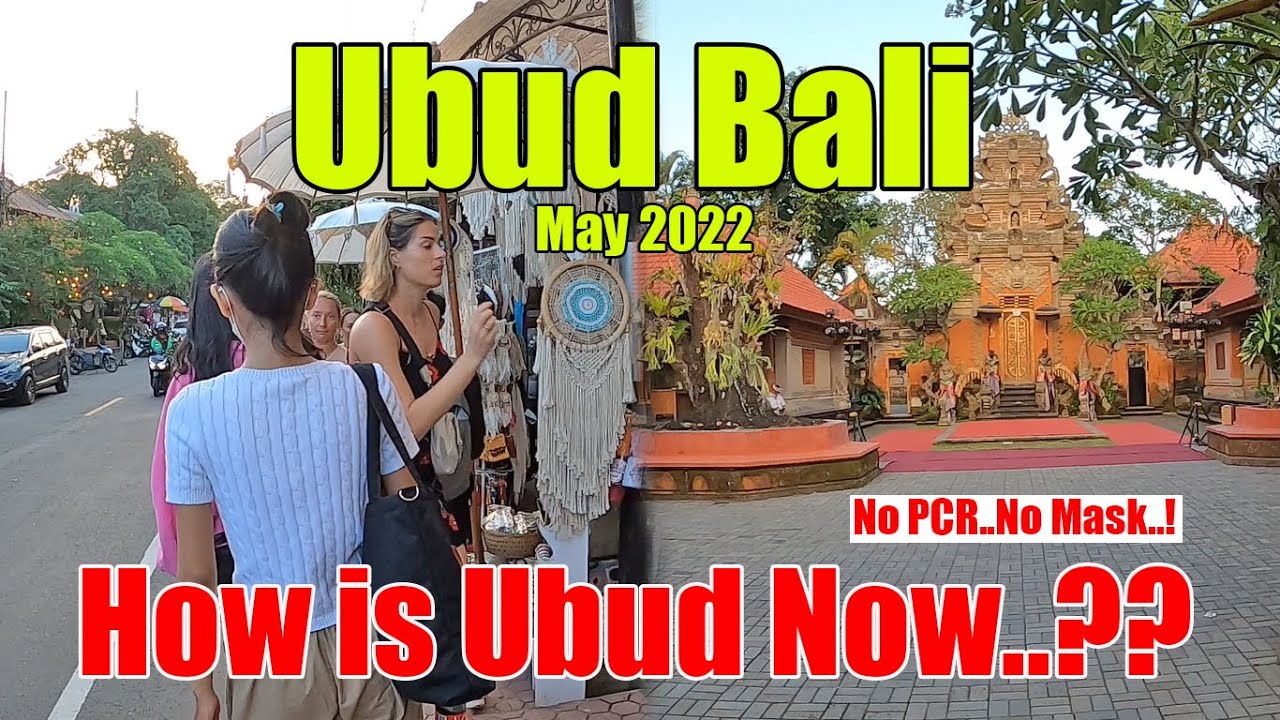 How Is Ubud Bali Now..?? | Ubud Bali Situation Now May 2022 - YouTube