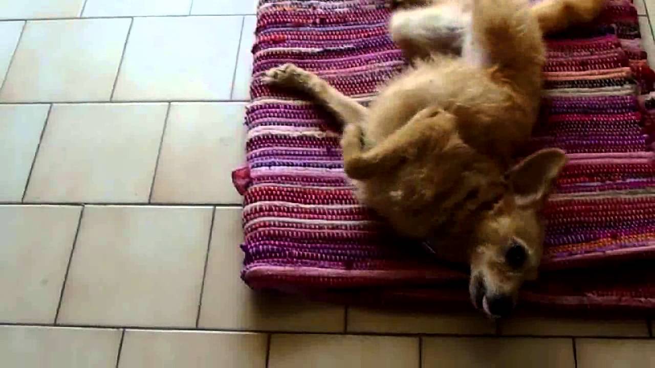 Jessy fait la fofolle - YouTube