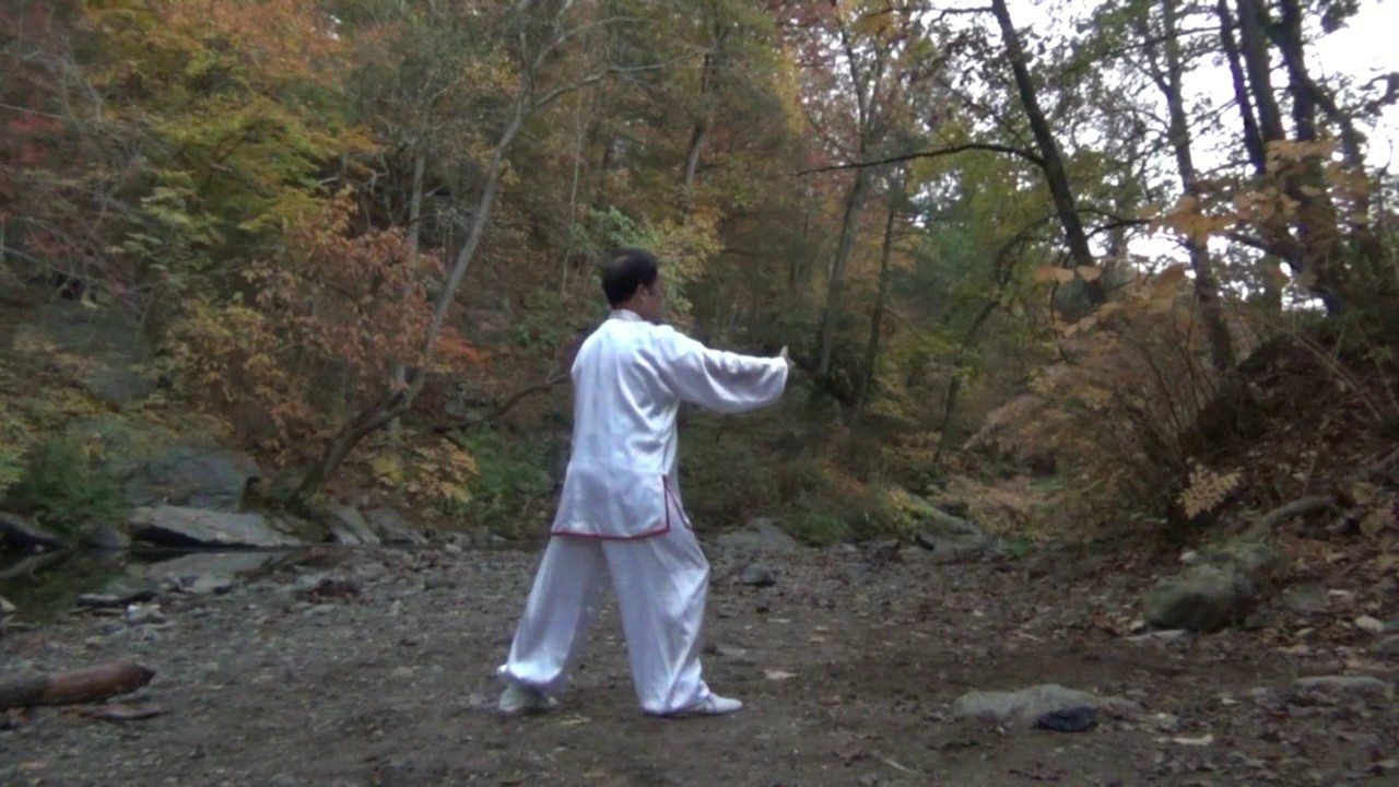 8 form Tai Chi back view - YouTube