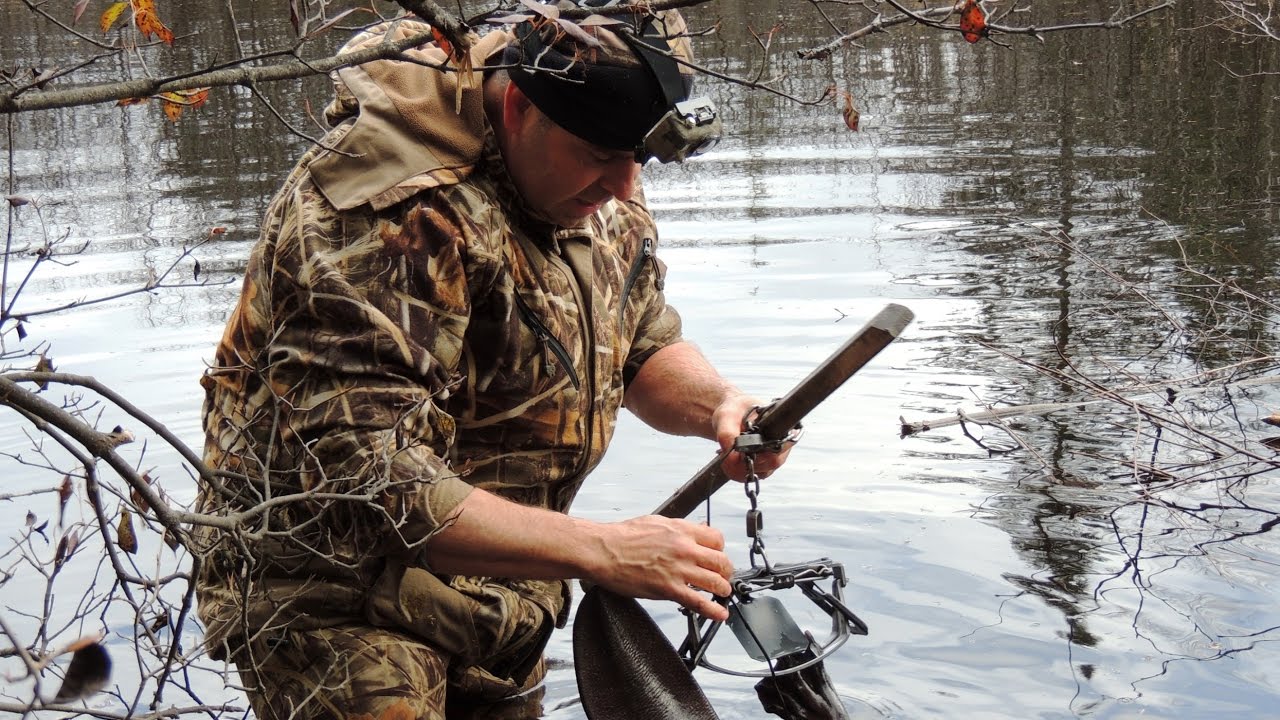 Technique de trappage de Castor vs piège à rétention CS#5 Reg - YouTube