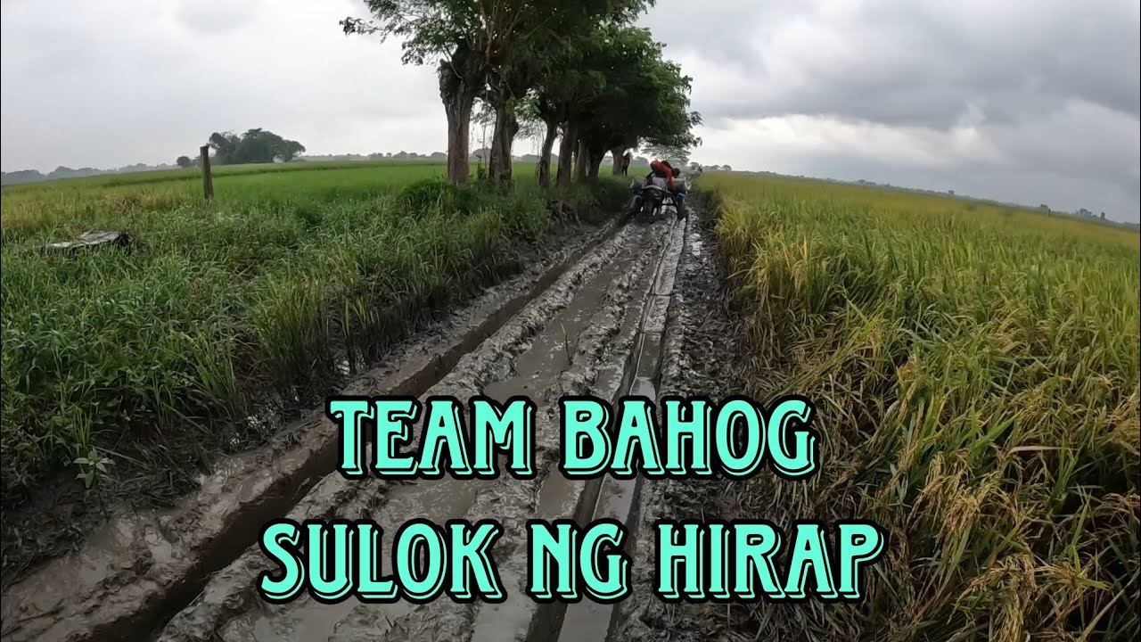 team bahog karyada ng kalabaw sa sulok - YouTube