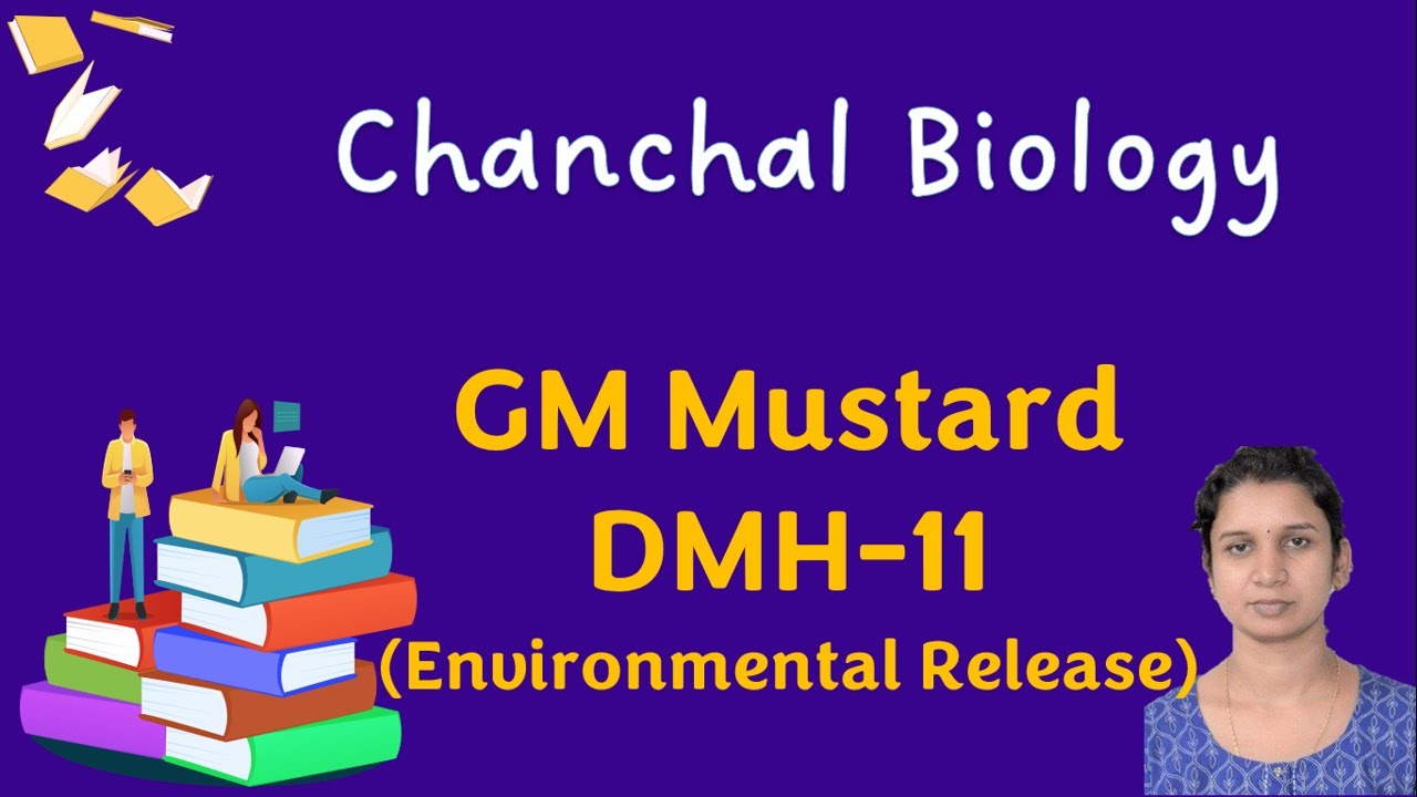 GM Crop in India | GM Mustard | DMH-11 variety | GEAC - YouTube