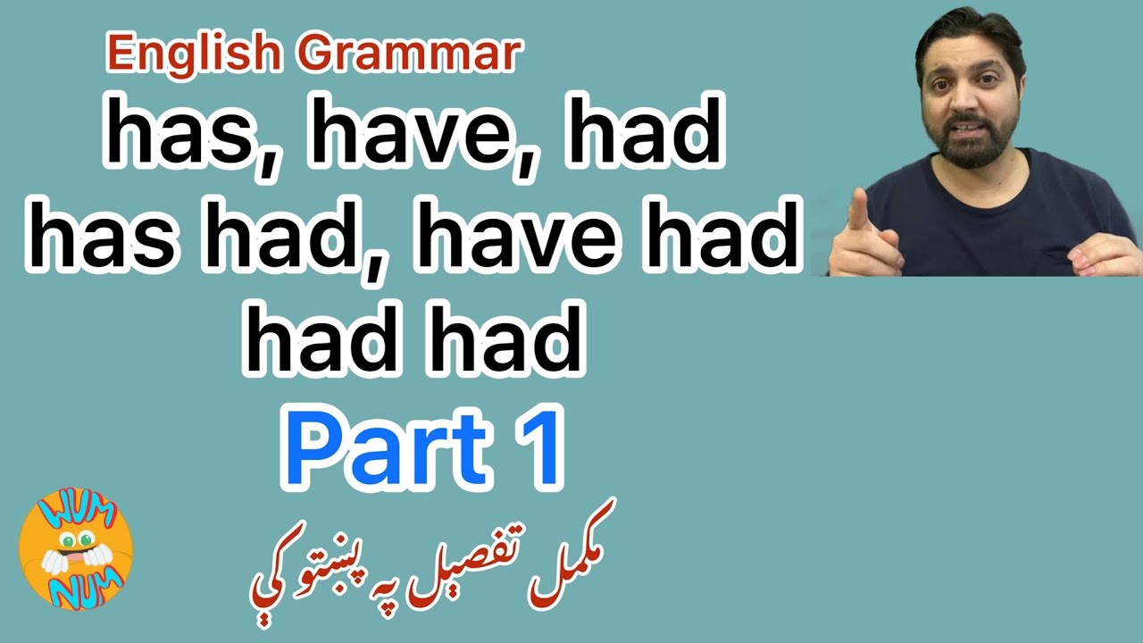 English Grammar, has, have and had. Part 1 - YouTube