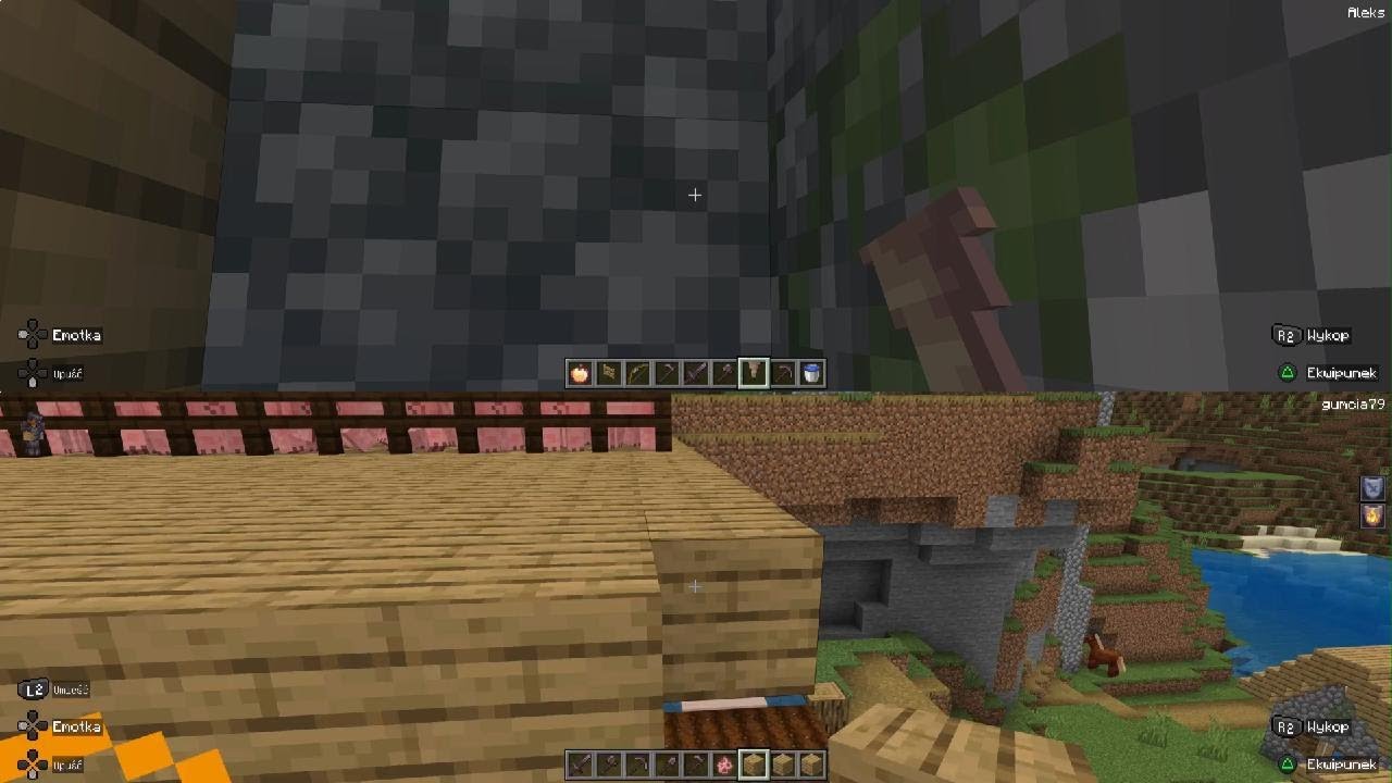 Minecraft Aleks i Mikołaj - YouTube