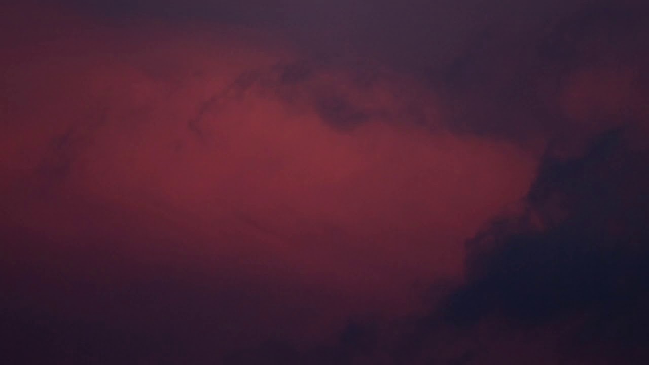 One Republic - Wild Life (Official Lyrics video) - YouTube