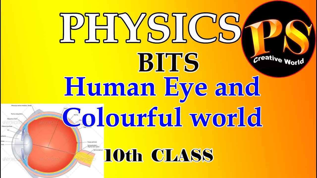 Human eye and colourful world , Bits, 10th class - YouTube