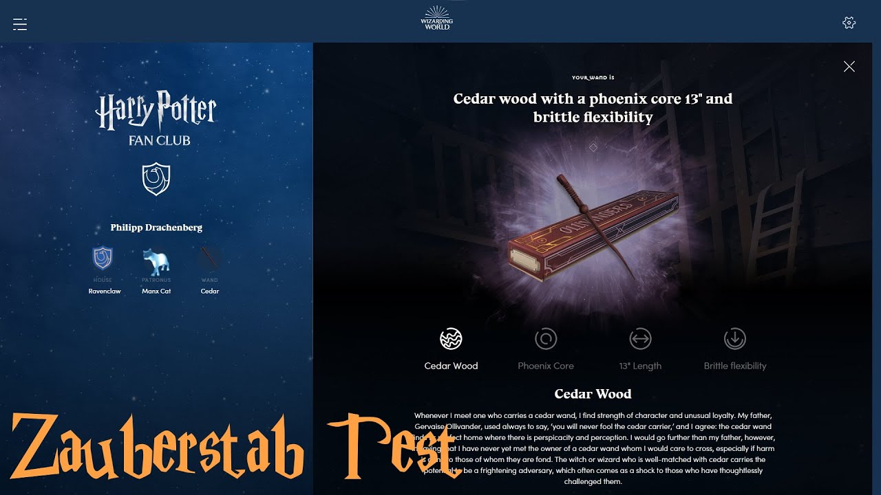 Wizarding World Zauberstab Test