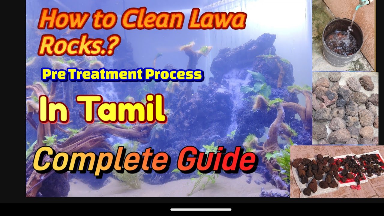 How to Clean Lawa Rocks||Cleaningmethods|tutorialvideo|Aquarium - YouTube