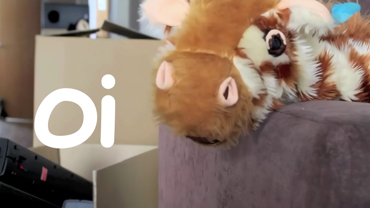 Mr.T Does Phonics with Geraldine the Giraffe - The 'oi' Digraph - YouTube