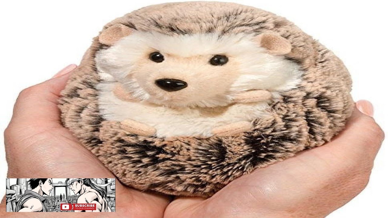 Douglas Spunky Hedgehog Plush Stuffed Animal Review - YouTube