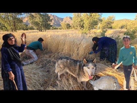 The Master Builder's Return to the Farm and the Lonely Grandmother in the Mountains