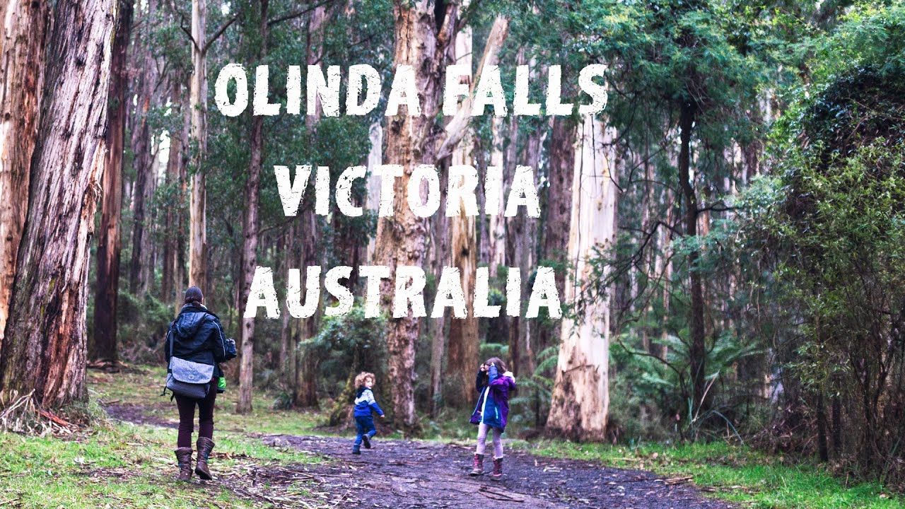 Olinda Falls, Victoria, Australia - YouTube