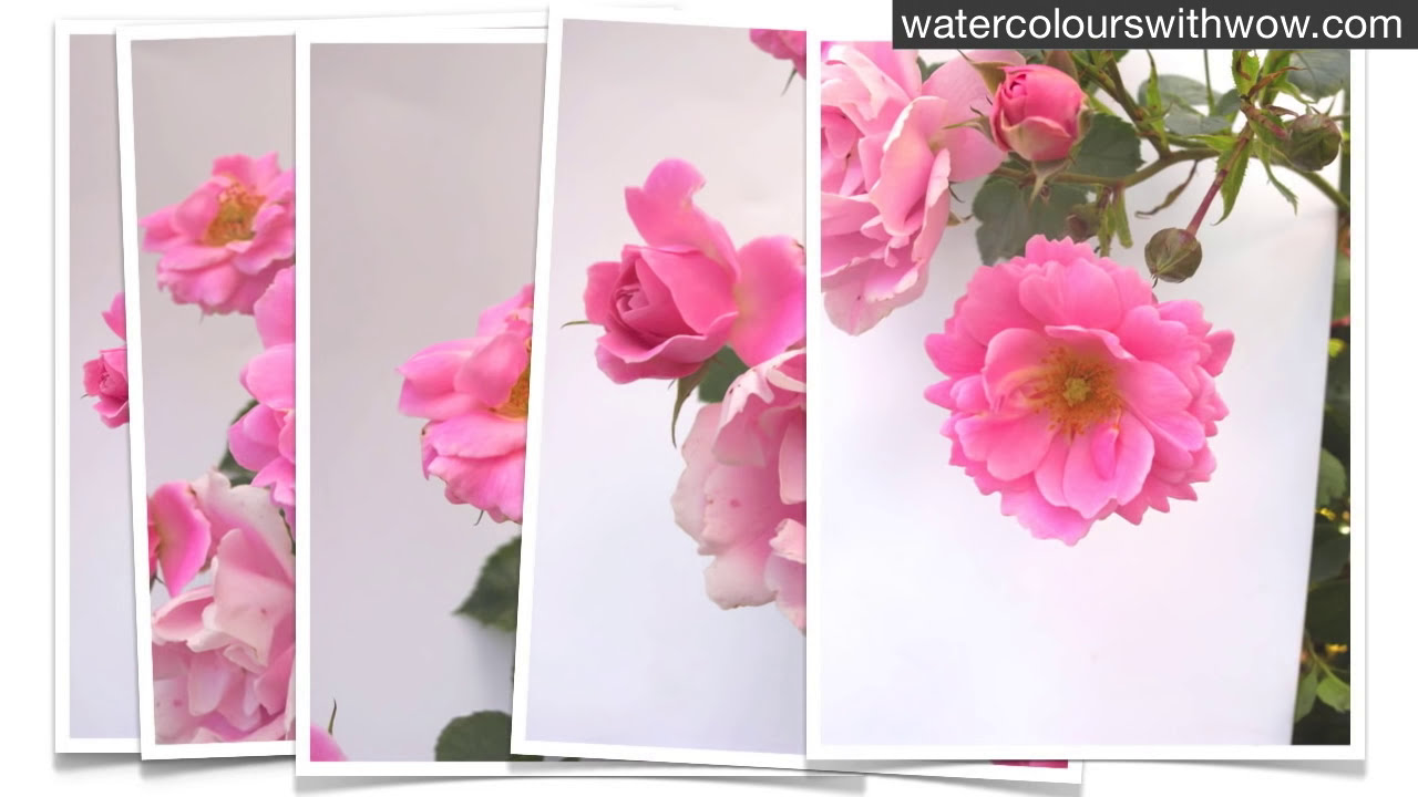 How and why to use photos to paint from - YouTube