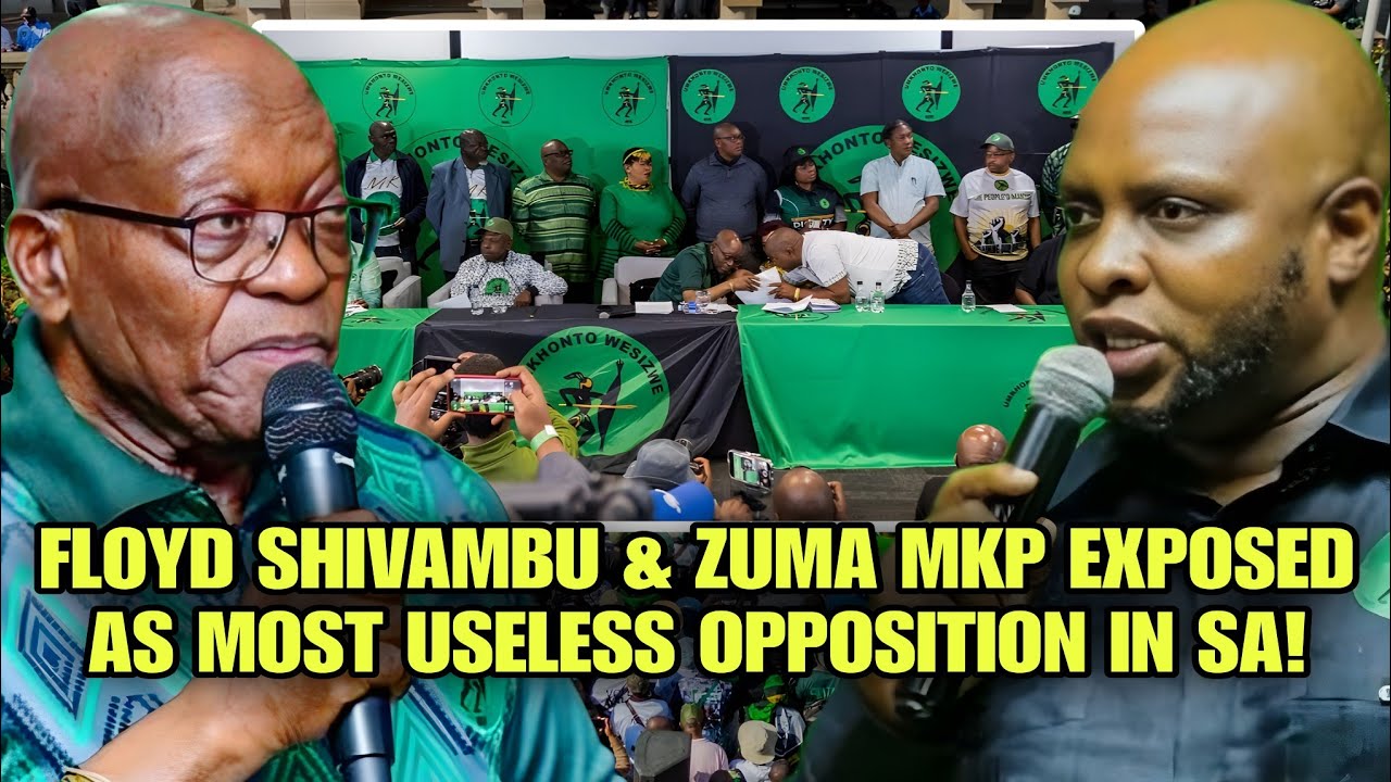 FLOYD SHIVAMBU & ZUMA MKP EXPOSED AS MOST USELESS OPPOSITION IN SA ...