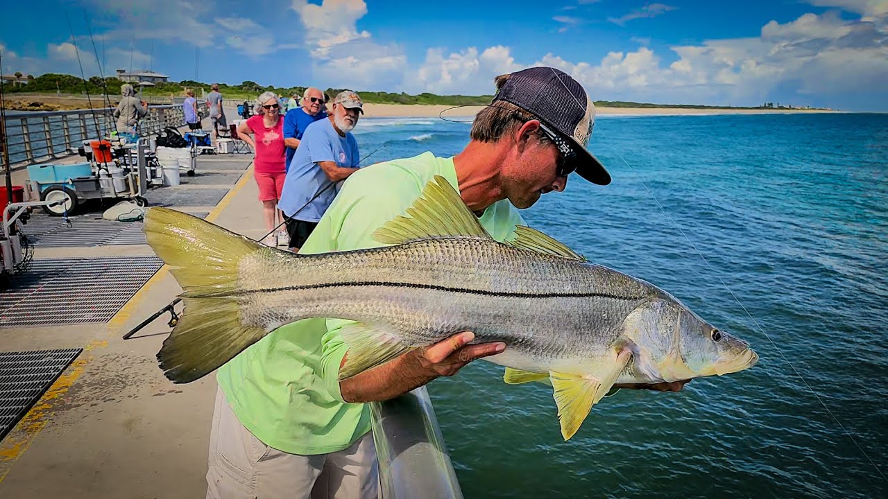 Feeding Frenzy Fishing from the Jetty - YouTube