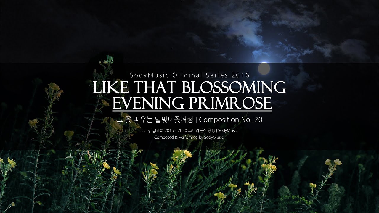 그 꽃 피우는 달맞이꽃처럼(Like That Blossoming Evening Primrose) - 2016 Music by ...