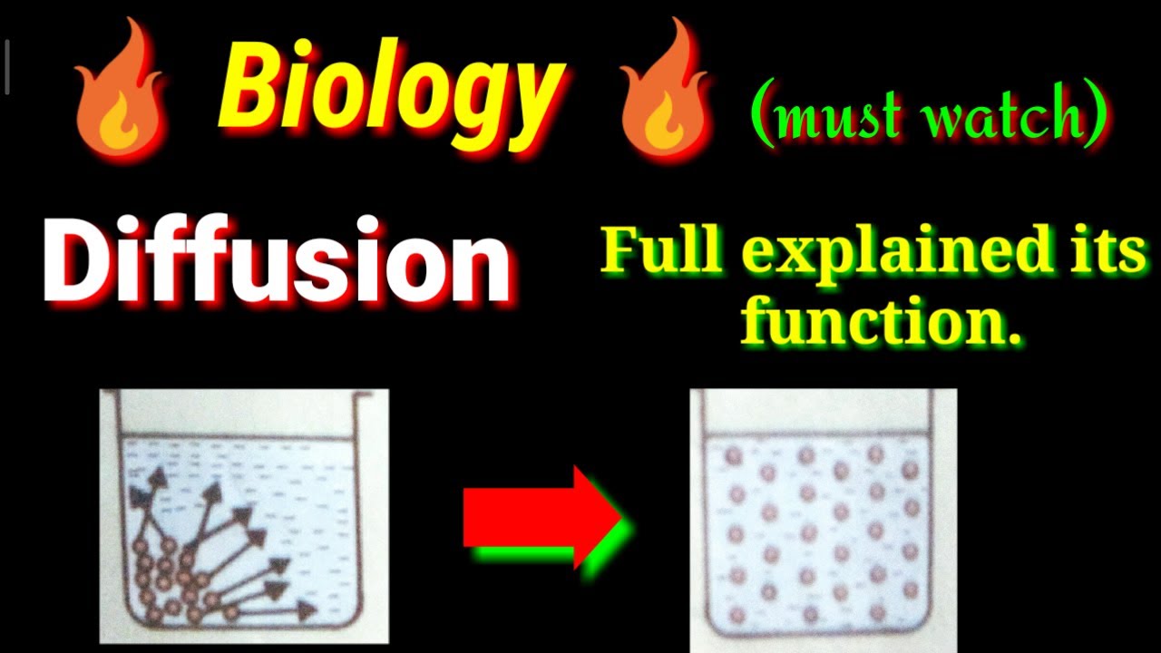 Diffusion 💥 | Biology class 9 Chapter 2🔥| How does diffusion occur💥 ...