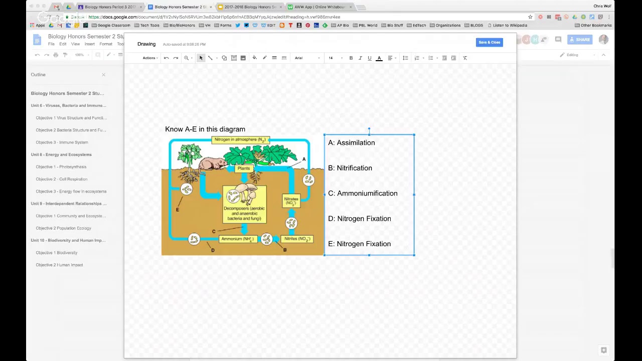 2nd Semester Biology Honors Final Exam Review Session #1 - YouTube