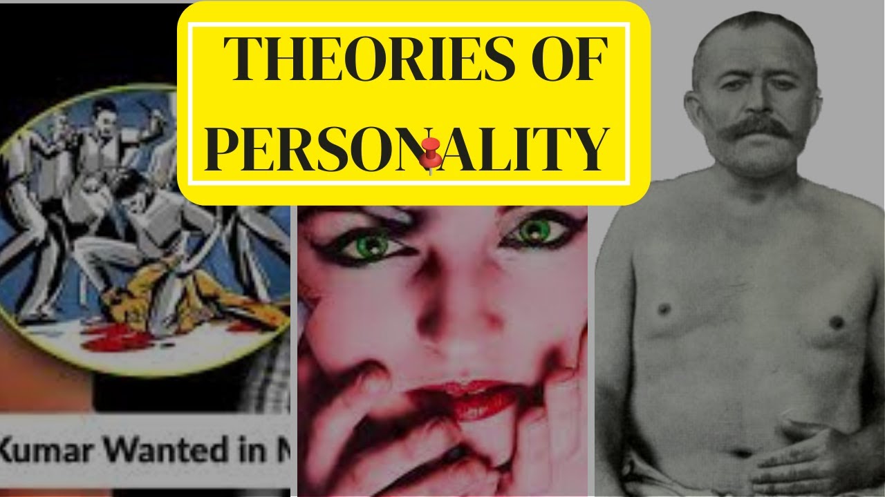 #bodytype #criminology Kretschmer’s Theory of Personality - YouTube