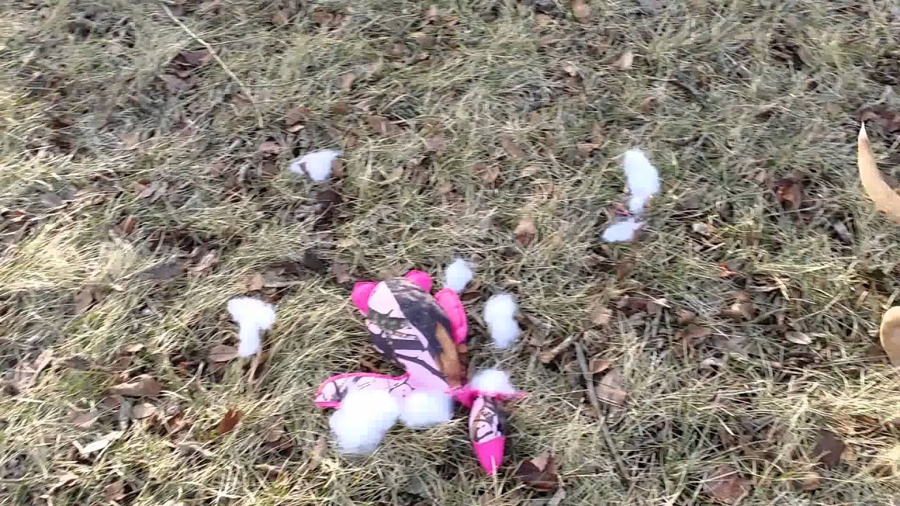 Bailey Duck Evisceration - YouTube