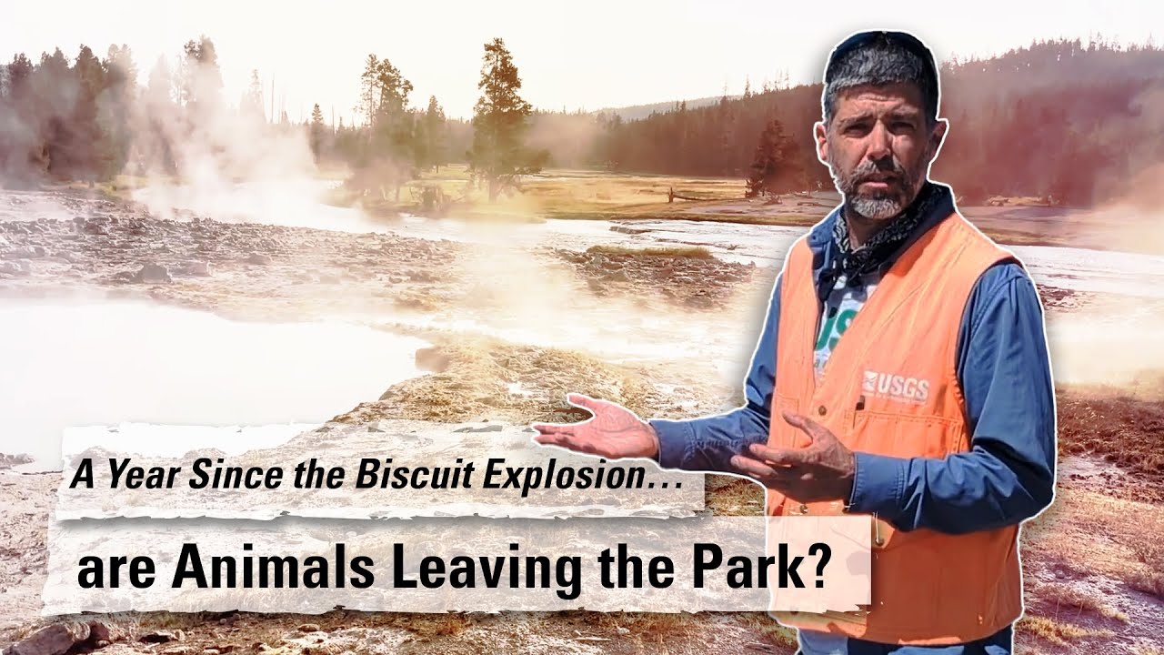 A Year Since the Biscuit Basin Hydrothermal Explosion (Yellowstone ...