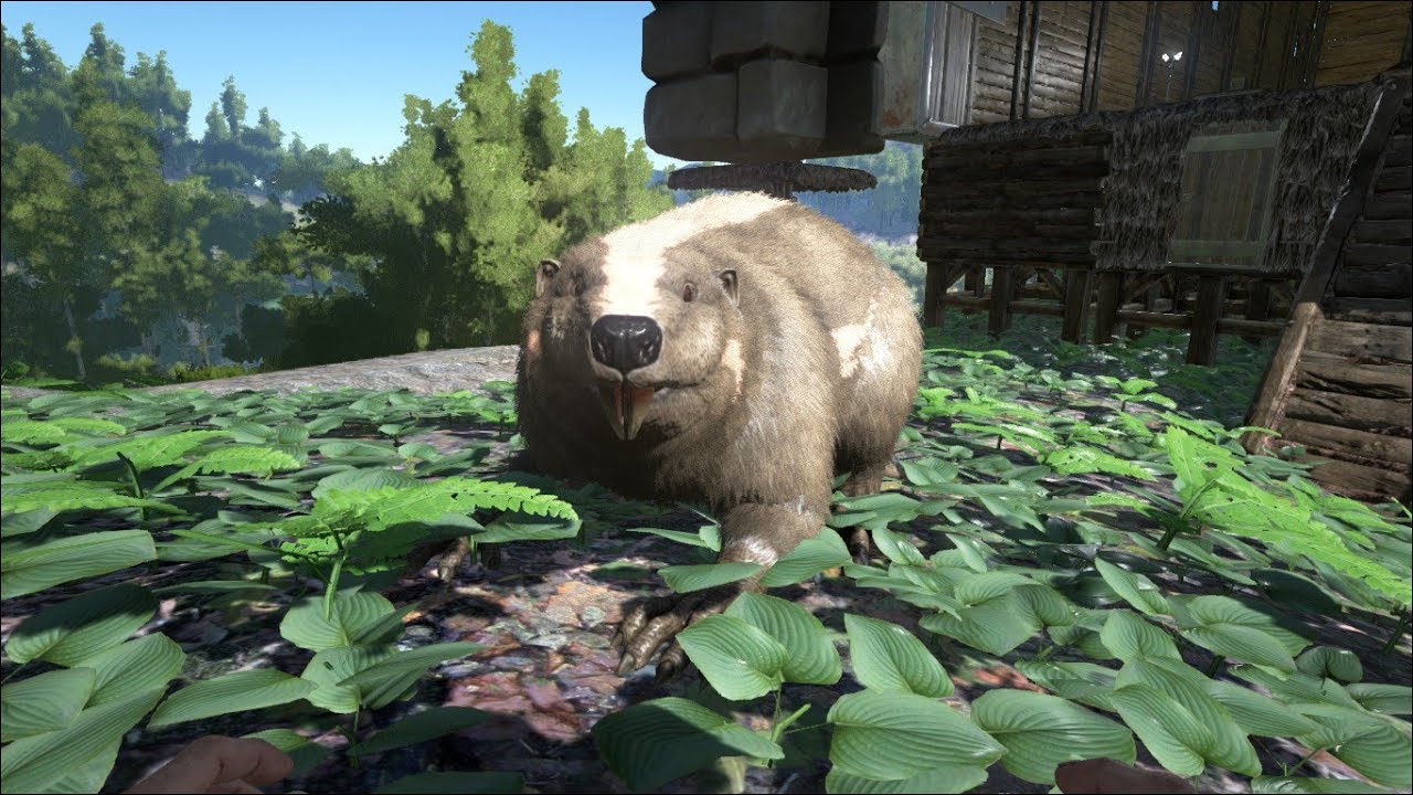 On tame un castoroides - Ark survival evolved let's play [12] - YouTube