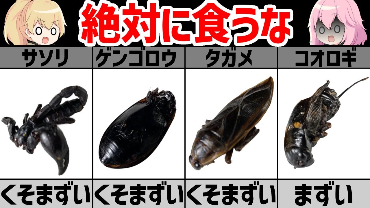 「タガメ」旨いとか言ったの、誰だよw | artmodelingのブログ